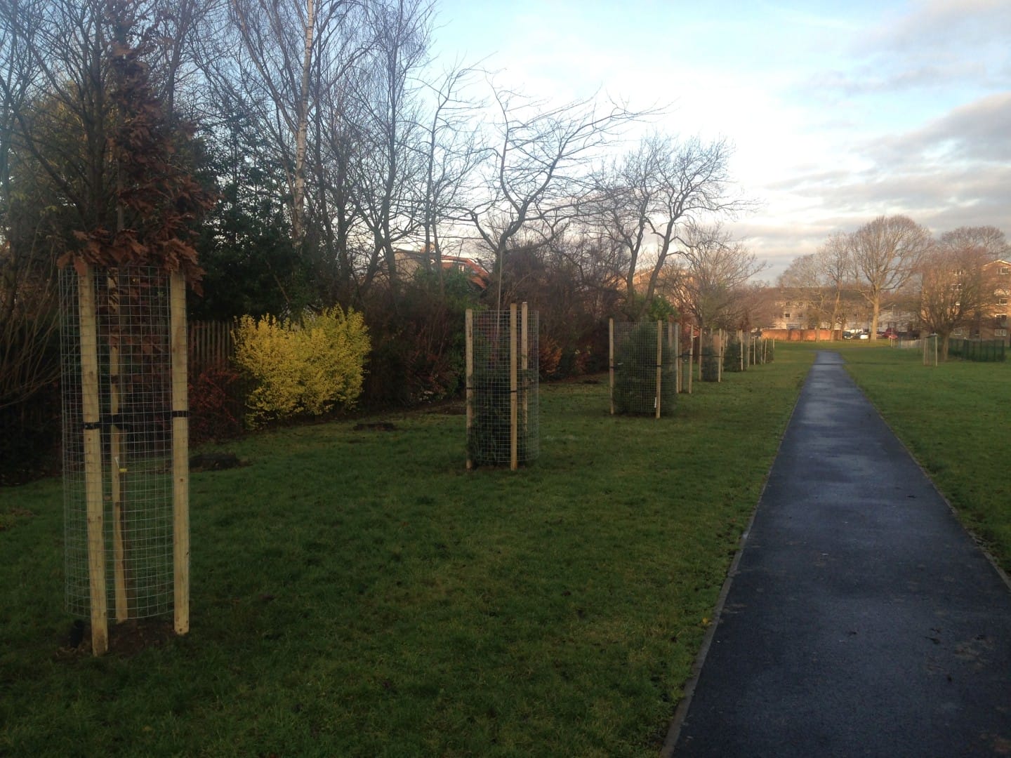 New Trees at Buttercup Farm Park - TreeTime : TreeTime