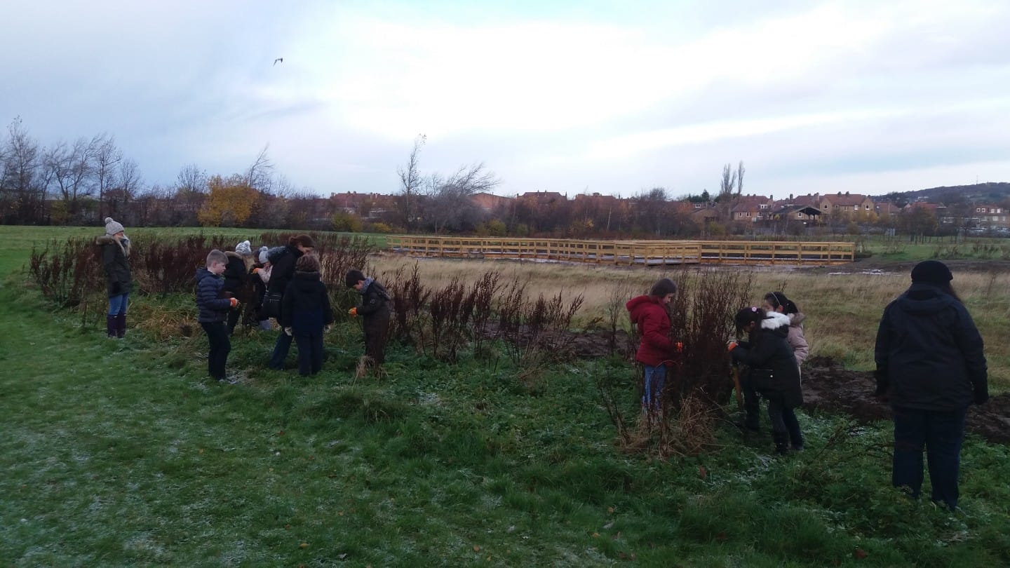 Hailes Quarry Park Tree Planting - TreeTime : TreeTime
