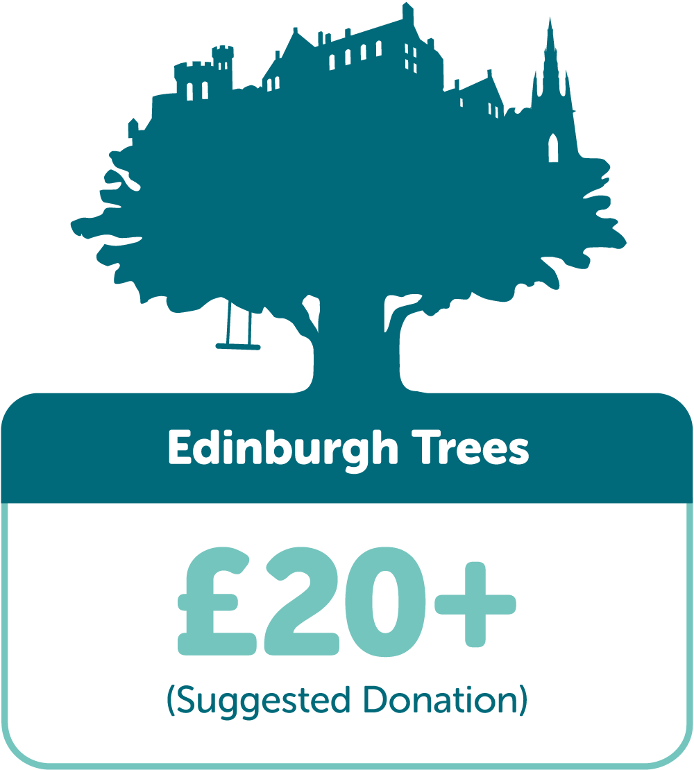 Edinburgh Trees - TreeTime Edinburgh : TreeTime Edinburgh