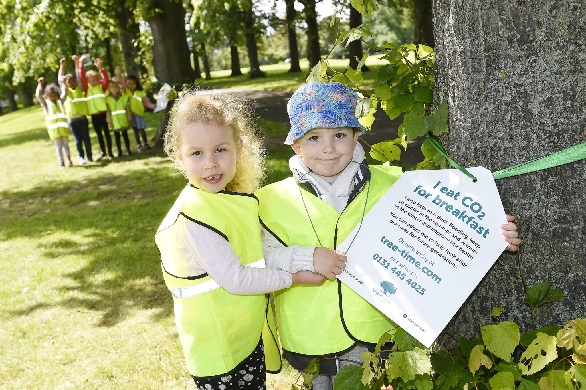 Tree Time Launch - TreeTime : TreeTime