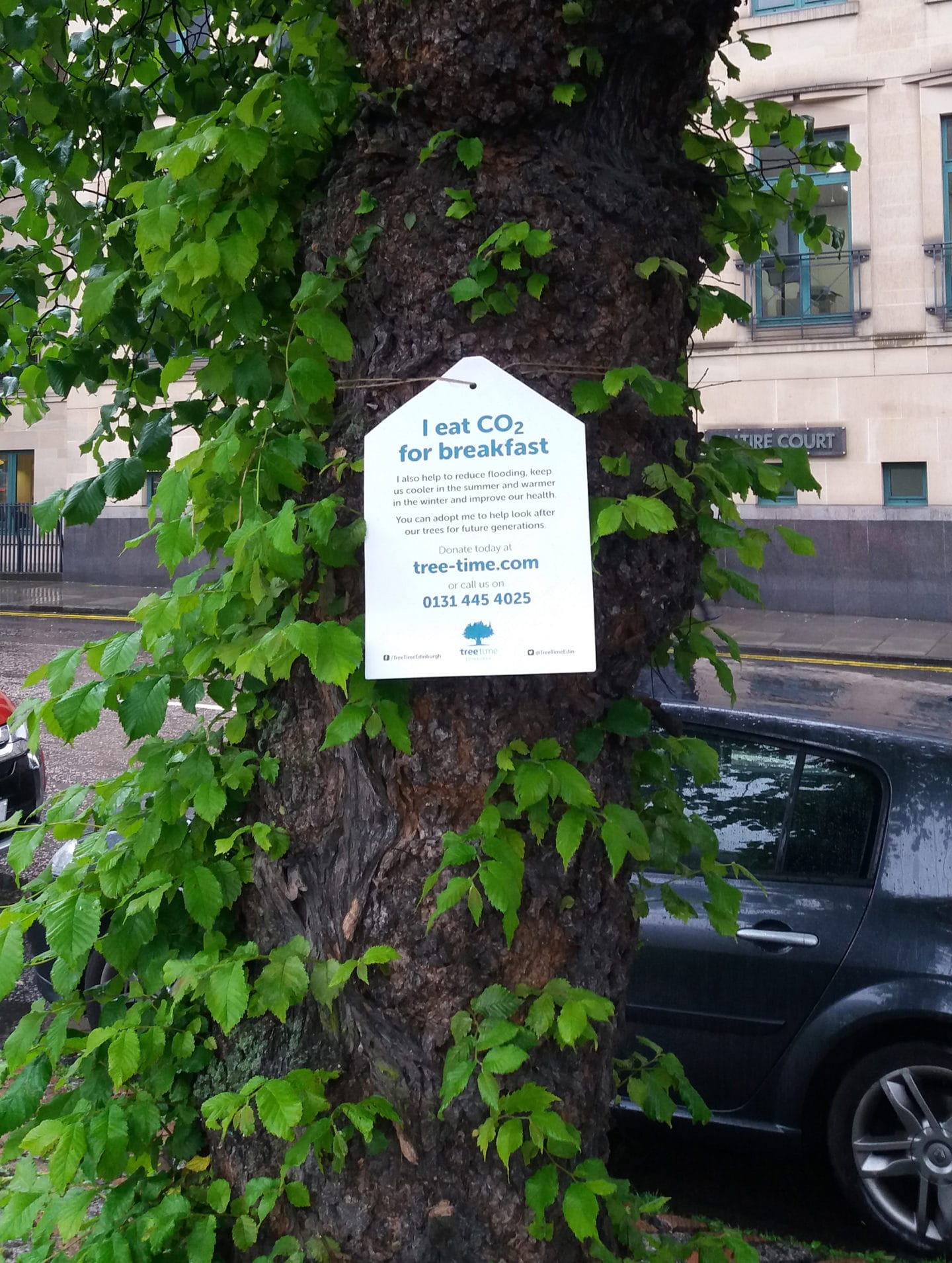 Adopt a Tree in Edinburgh with Tree Time - TreeTime Edinburgh ...