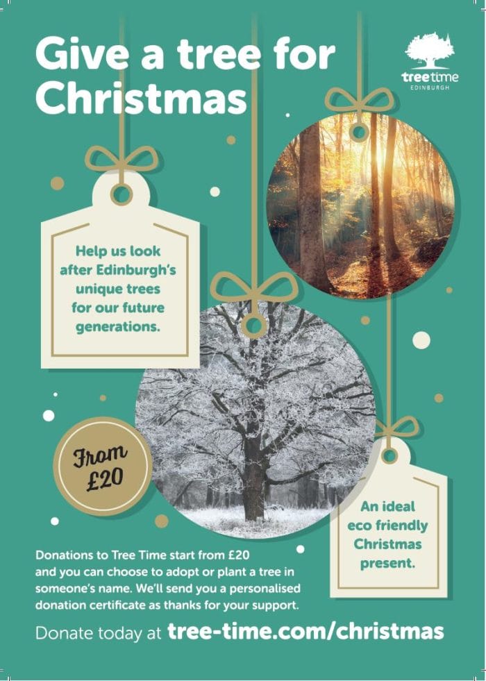 Christmas Campaign - TreeTime : TreeTime