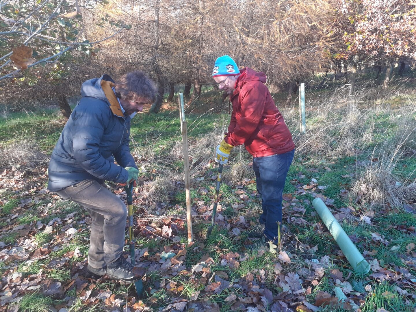 Roper Donation - TreeTime : TreeTime