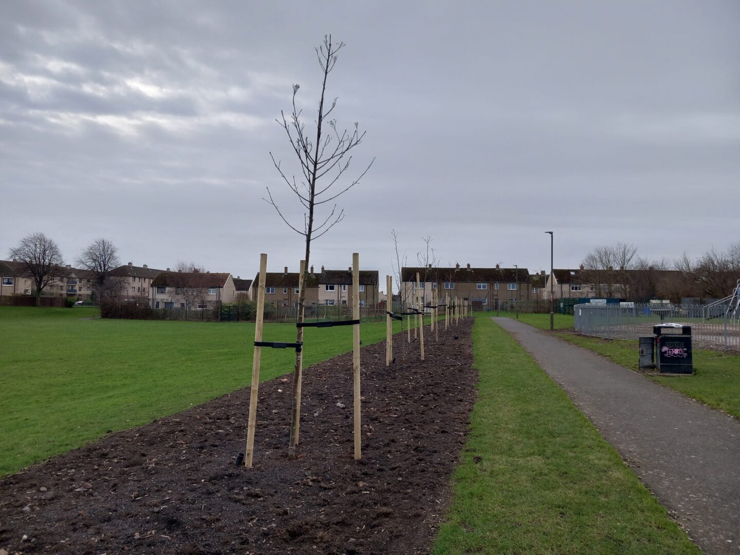 The Queen's Green Canopy - TreeTime : TreeTime