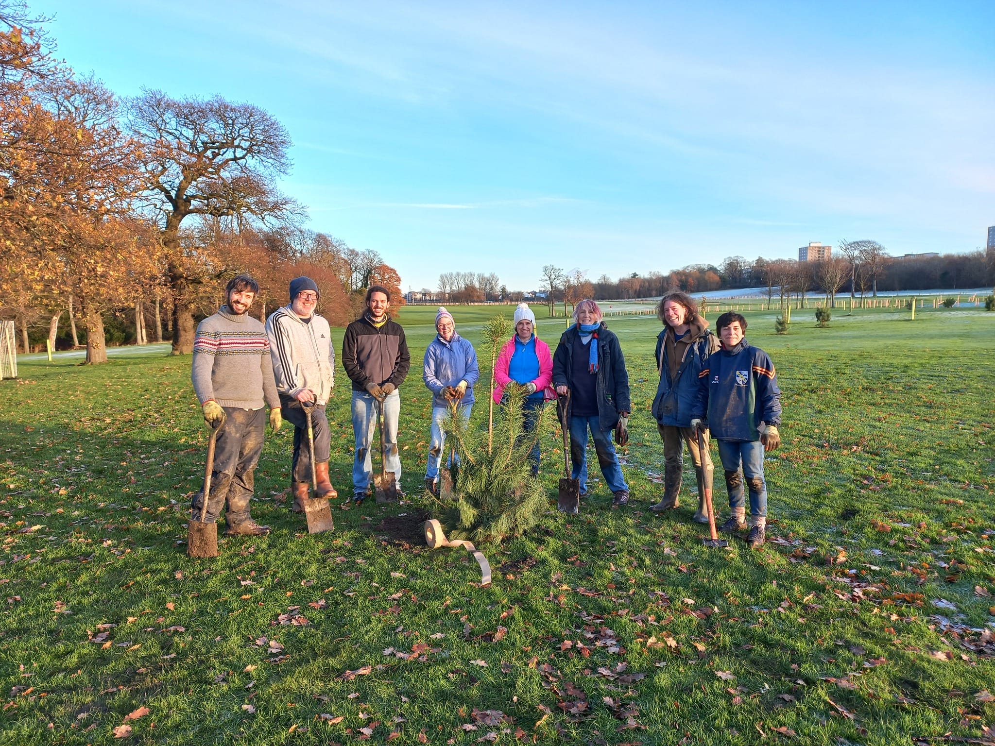 500 Trees Planted at Silverknowes Golf Course - TreeTime : TreeTime