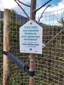 Tree Time Review - TreeTime : TreeTime