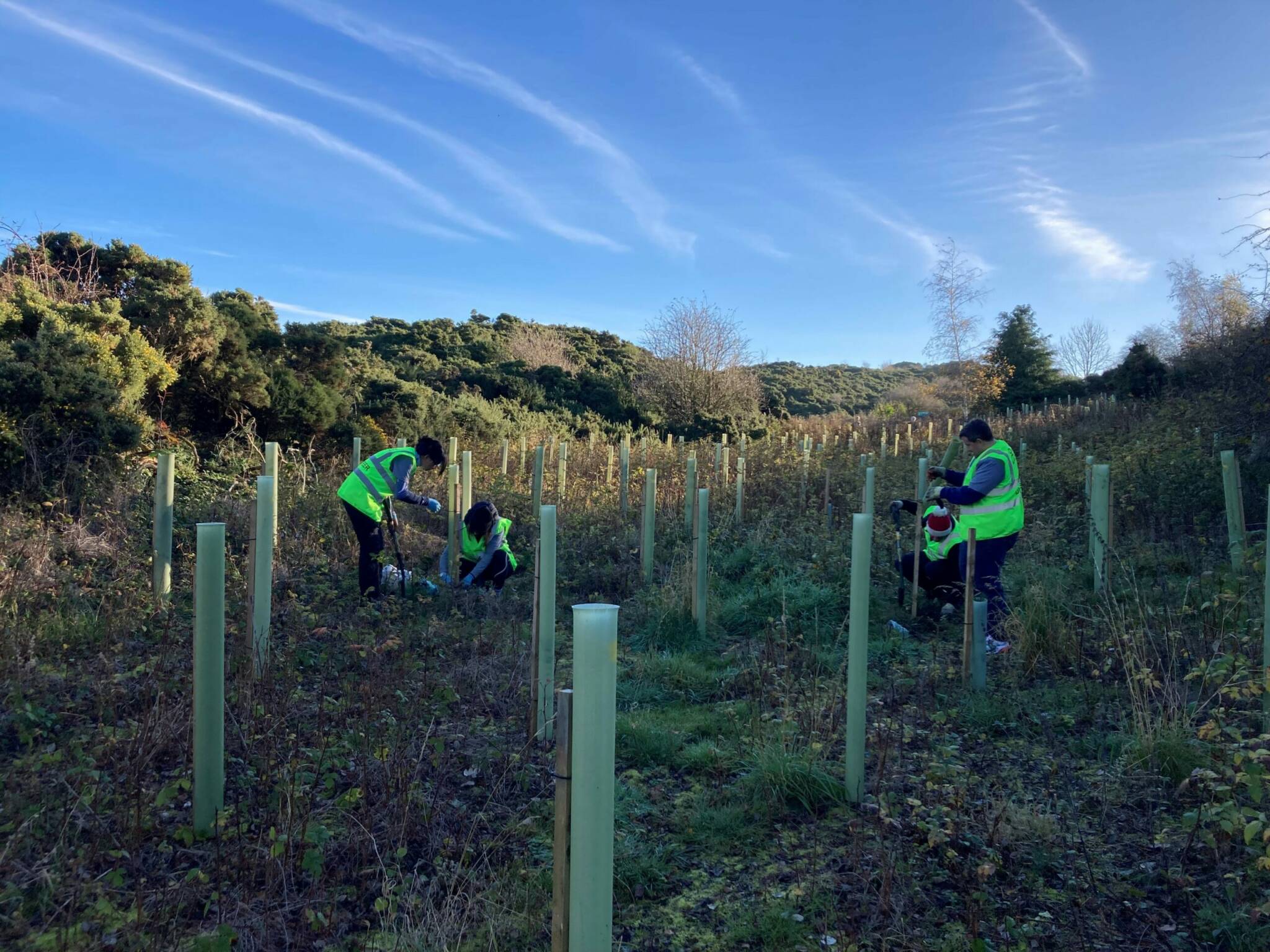 200 Trees at Braid Hill - TreeTime : TreeTime