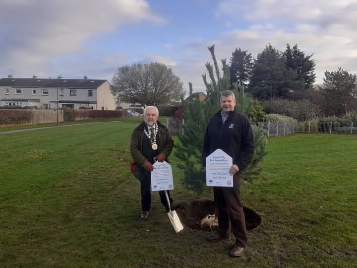 East Lothian Tree Time - TreeTime : TreeTime