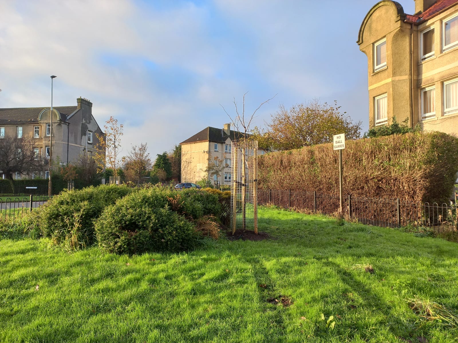 Tree Time Volunteers - TreeTime : TreeTime