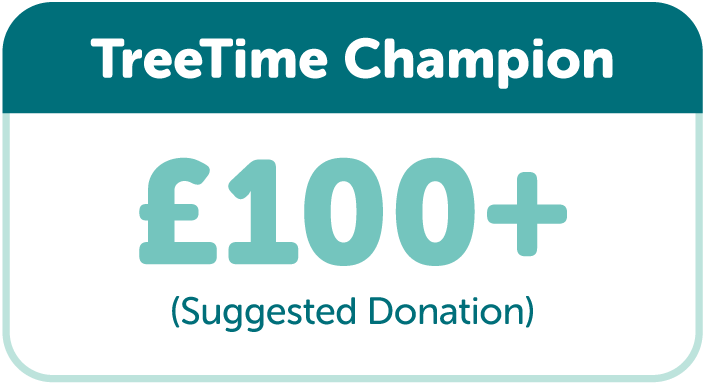 Tree Time Home - TreeTime : TreeTime