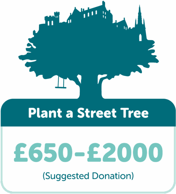 Tree Time Edinburgh - TreeTime : TreeTime